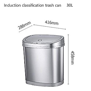 WPYYI Double Classification Sensor Trash Can Smart Stainless Steel Can Auto Sealing Cover Garbage Classification Bins 30/42L ( Size : 30L )