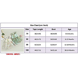 Baby Girl Lace Tulle Romper Dress Sleeveless Flower Embroidery Mesh Tutu Princess Dress Fluffy Brithday Photoshoot (Creamy Yellow, 12-18 Months)