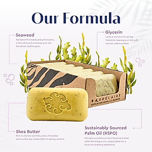 Baudelaire Exfoliating Soap, Sea Loofa Bath Soap & Body Soap, Natural Soap, Triple Milled with 100% Natural Fragrance, 2% Seaweed and Sustainable Palm Oil - 5 oz (COMES IN 6 PIECE BOX!)