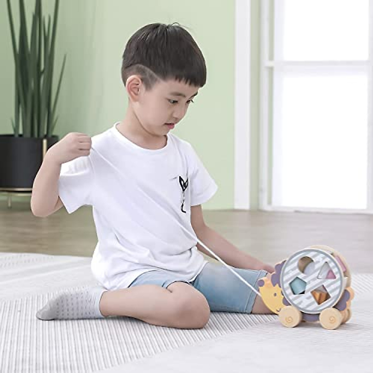 The Original Toy Company PolarB Viga Wood Toy - Pull Along Hedgehog with Sorting Wheel