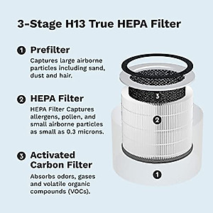DH Lifelabs Aaira + HEPA and Sciaire + HEPA Replacement 3-1 HEPA Filter