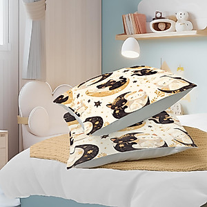 Lokaluo Cats Duvet Cover King Size 3D Printed Little Kitty King Duvet Cover Set Black Cat Starlight Moon Stars Floral Bedding Set Room Decor All Season 3 Pcs Comforter Cover with 2 Pillowcases