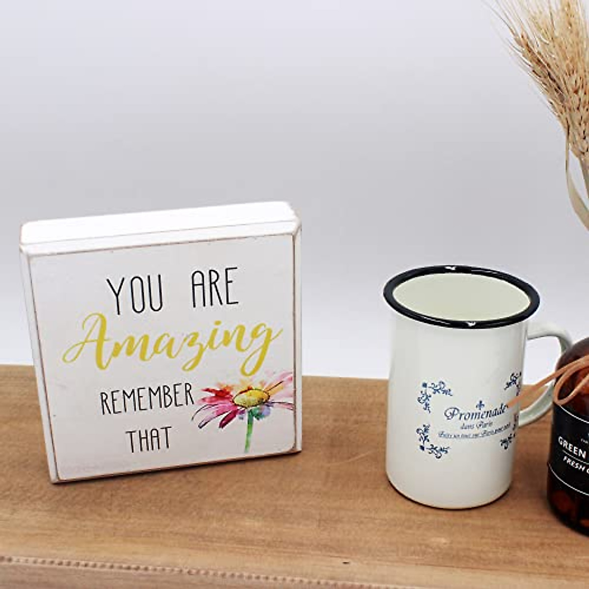 Wartter 6 Inch Decorative Wooden Box Sign - You are Amazing, Remember That