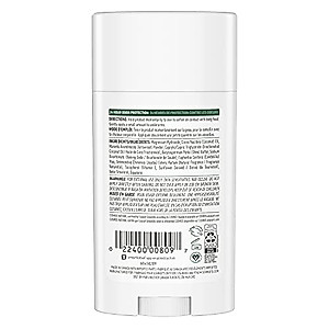 Schmidt's Aluminum Free Natural Deodorant Fresh Fir & Spice 2-pk for Women and Men, with 24 Hour Odor Protection, Certified Natural, Cruelty Free, Vegan Deodorant 2.65oz