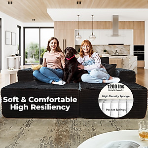 CAODOC Modular Sectional Sofa Bed,79"x 69" No Assembly Required Lounge Chaise Chair,Cloud Plush Modern Sleeper Loveseat for Living Room Bedroom(Right Facing Chaise,Black)