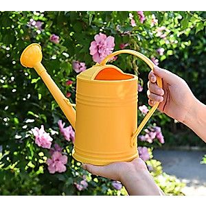 OKREK Watering Can Indoor Watering Cans for House Plants, Small Watering Can Indoor Plants, Plant Watering Can for Outdoor Plants Garden Flower (1/2 Gallon, Black)