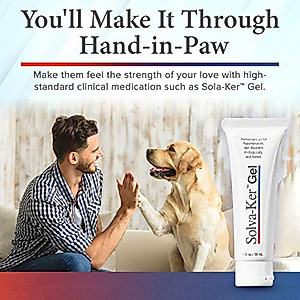 Dry Nose and Paw Soother - Solva-Ker Gel Moisturizer for Pet's Cracked Nose and Paws - Hyperkeratosis Treatment for Dogs, Cats, and Horses - Clear and Greaseless Healing Balm for Pets - 1 ounce Tube