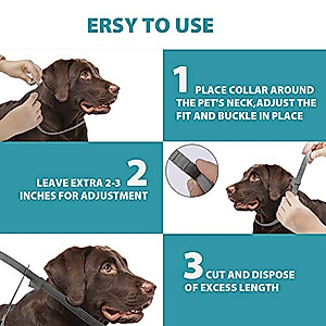 Flea and Tick Collar for Dogs,Flea and Tick Treatment and Prevention for Dogs up to 8 Month,One Size Fits All,100% Natural Ingredients, Waterproof,Include Tick Removal Tools,2 Pack