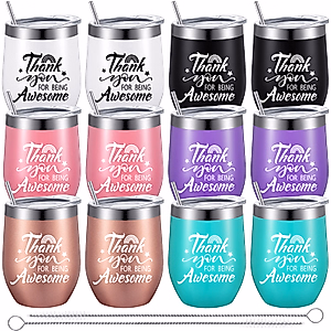 Irenare 12 Pieces Thank You Gifts Thank You for Being Awesome Inspirational Appreciation Birthday Gifts for Women Men Teacher Wife Mom Dad Sister Friends Coworkers Insulated Stainless Steel Tumbler