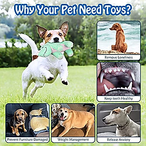 BWOGUE Squeaky Plush Dog Toys 3 Pack, Stuffed Dog Chew Toy with Squeaker and Crinkle Paper, Dog Toy Stuffed Animal for Teeth Cleaning for Small Medium Dogs and Puppy(3 Packs Animals Toys)