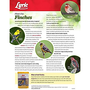 Lyric Finch - Small Songbird Wild Bird Seed - Attracts Goldfinches, House Finches, Purple Finches & More - 5 lb. Bag