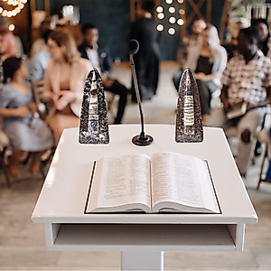 JIC Gem Orthoceras Fossil Frome Morocco(5-6 Inches)