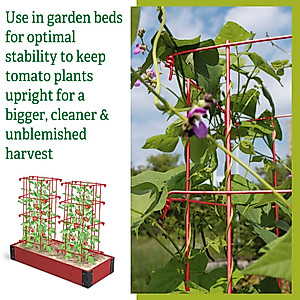 Gardeners Supply Company Lifetime Tomato Cages Plant Stand | Heavy Gauge Sturdy Garden Plants Support for Tomatoes and Other Climbing Plants | No Assembly Needed - Red (Set of 4)