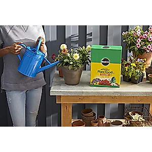 Miracle-Gro Water Soluble All Purpose Plant Food, 4-pack
