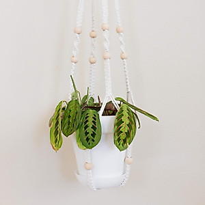 Youngever 8 Pack 5.5 Inch Plastic Planters Indoor Flower Plant Pots, Classic Decorative Gardening Pot with Drainage Holes (White with Saucers)