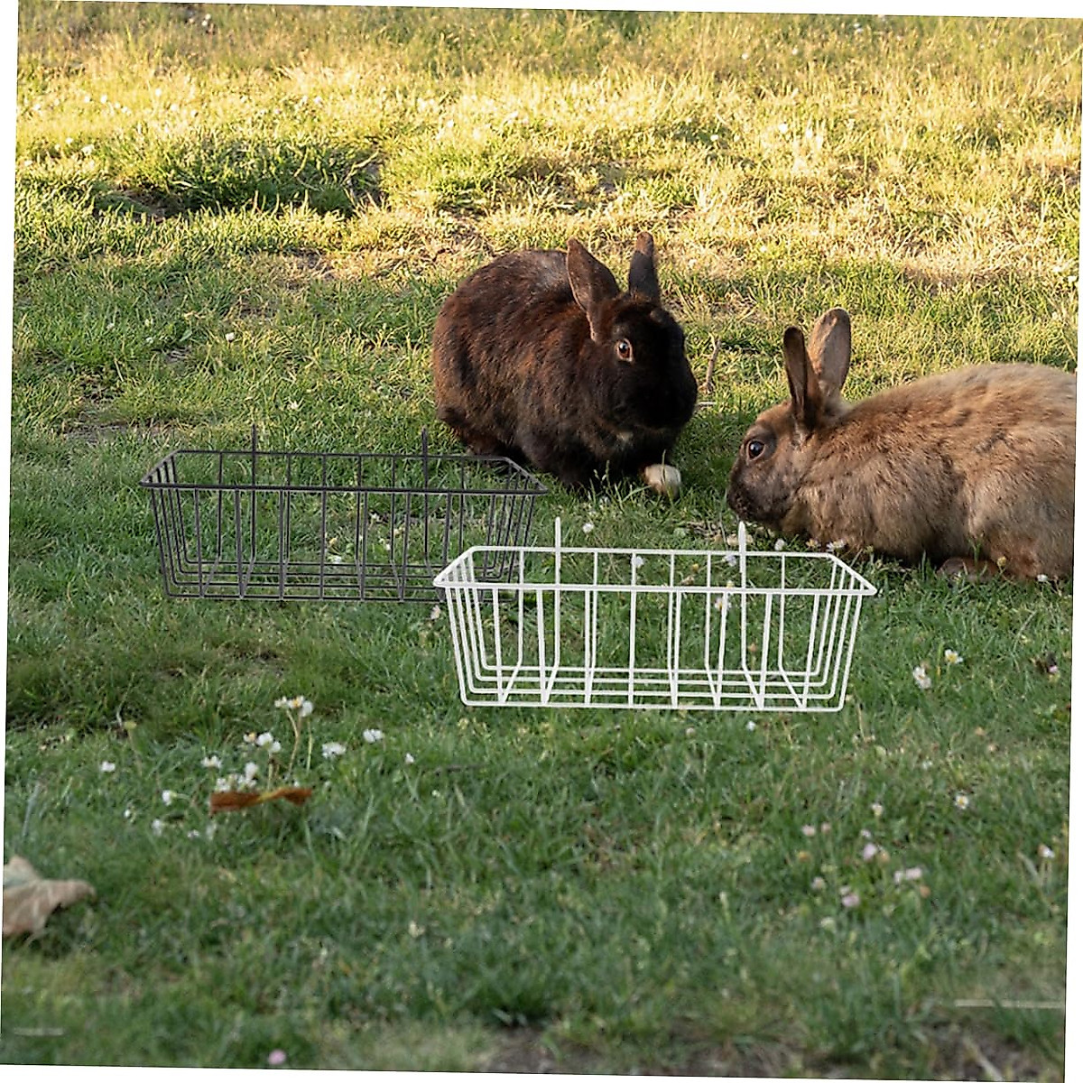 Balacoo Rabbit Rack Bunny Feeder Rabbit Feeders Convenient Rabbit Feeder Hanging Rabbit Feeder Daily Use Rabbit Feeder Rack for Rabbits Feeder Rabbit Grid Accessories Shelf Metal White