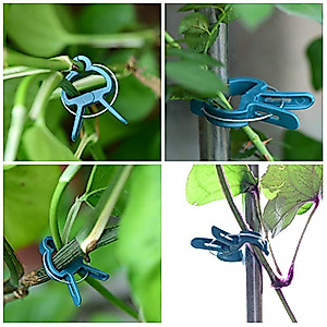 PERSZEN 60PCS Plant Clips 2 Sizes Adjusting Garden Plant Clips Reusable Plant Supports Clips for Supporting Stems of Flower Vine Vegetables Tomatoes Climbing