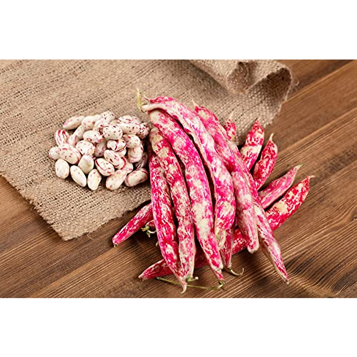 Taylor Dwarf Horticulture (Cranberry) Bush Bean Seeds, 25+ Heirloom Seeds Per Packet, Non GMO Seeds, (Isla's Garden Seeds), Botanical Name: Phaseolus vulgaris, 85% Germination Rates, Great Gift