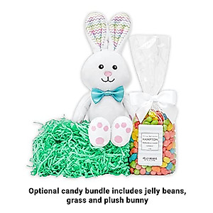 Let’s Make Memories Personalized Furry Critter Easter Basket for Kids - Shark