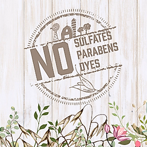 Aveeno Kefir Probiotic Blend Shampoo, 12oz