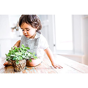 Little Unicorn Cotton Muslin Classic Bib 3 Pack– 100% Cotton – Machine Washable - Softer with Every Wash – Playful Designs - 3 Lightweight, Breathable Layers – for Boys and Girls (Watercolor Roses)