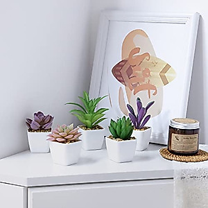 CEWOR 9pcs Artificial Succulent Plants in Pots, Faux Succulents Small Potted Fake Plants with Plastic Pots for Office Home Desk Shelves Bedroom Decoration