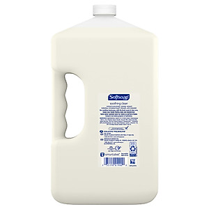 Softsoap Liquid Hand Soap Refill, Soothing Clean, Aloe Vera Fresh Scent - 1 gallon, Pack of 4