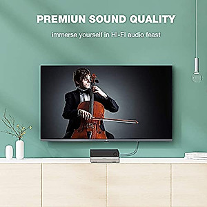 RIKSOIN RCA Splitter Cable, 2-Pack RCA Y Cable Nylon Braided RCA Splitter 1 Male 2 Female Audio Cord Y Adapter for Speakers, CD/DVD Players, TV, Subwoofers, Amplifiers (28cm/0.9FT)