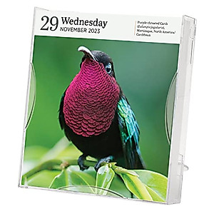 Audubon Birds Page-A-Day Gallery Calendar 2023: Hundreds of Birds, Expertly Captured by Top Nature Photographers