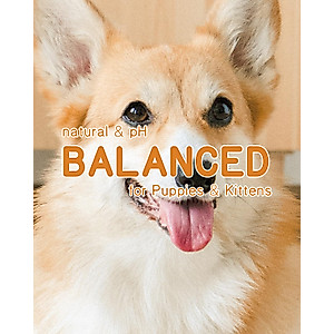 FriPuP Dog Eye Wipes, Travel Size Pet Wash Pads for Ear Face Wrinkle Cleaning, Gentle Tear Stain & Eye Discharge Remover for Cats Kitten Puppy, Essential Small Dog Items, Soft 100 Count (Pack of 2)