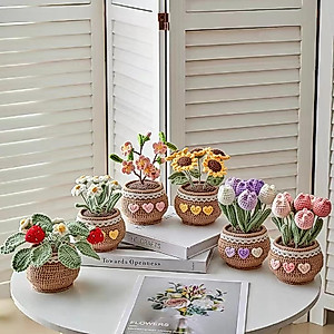 UEIEU Crochet Kit for Beginners - Flower Plants - Crochet Starter Kit，Suitable for Adults Learning Adult Beginner Crochet kit, Step by Step Video Tutorials (Strawberry Flower Potted Plants)