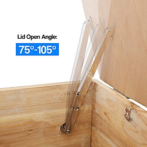 Douper 200N Gas Struts Heavy Duty Soft Close Lid Support Hinges Automatic Slow Lowering Safety Pneumatic Lid Lifters Gas Springs Pack of 2