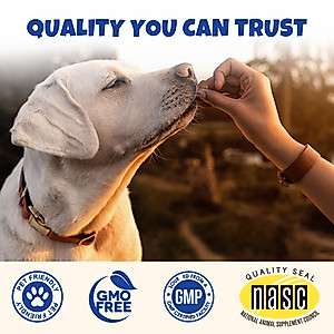 Baaww Probiotics for Dogs, Support Gut Health, Diarrhea, Seasonal Allergies, Paw Licking, Digestive Health Enzymes, 90 Pork Chews Allergy & Immune Supplement for Dogs Anal Gland Soft Chew Treats