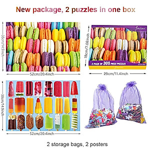 fishwisdom 300 Piece Jigsaw Puzzles Popsicles and Macarons for Adults Teens and Kids Family Happy Gift Idea (Pack of 2) (Popsicle+Macaron)