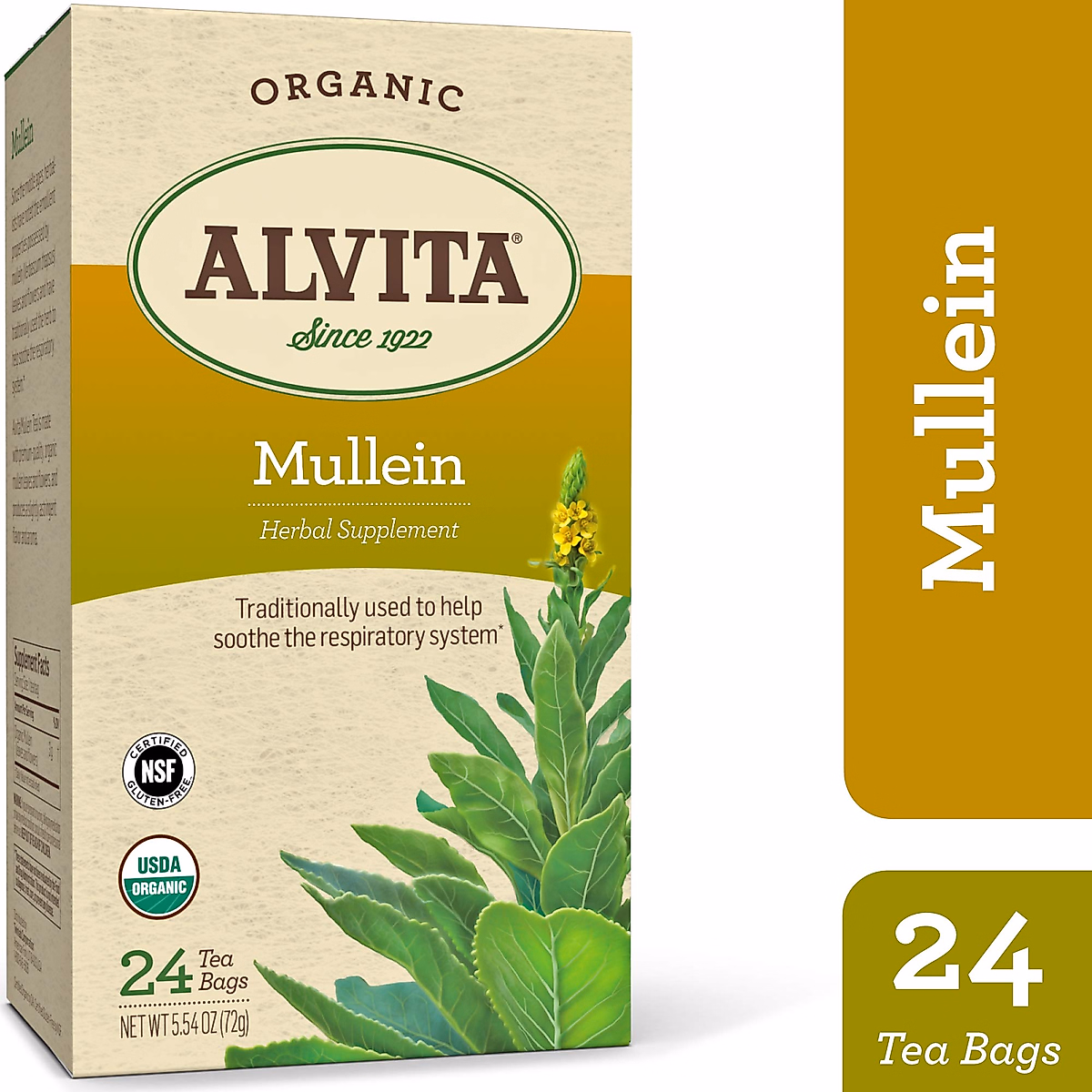Alvita Teas Mullein Tea Bag, 24 Count