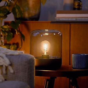 PHILIPS LED Vintage Flicker-Free Clear Spiral A19 Dimmable, Eyecomfort Technology, 500 Lumen, Soft White(2700K), 5.5W=40W, Title 20 Certified, E26 Base (565788), 1 Count (Pack of 1)