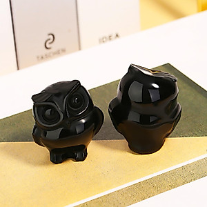QINJIEJIE Black Obsidian Crystals Owl Figurines Natural Carved Stone Decor Polished Gemstone Statue Home Desk Gem Guardian Sculpture Room House Office Decorations Spiritual Owl Gifts for Women Men