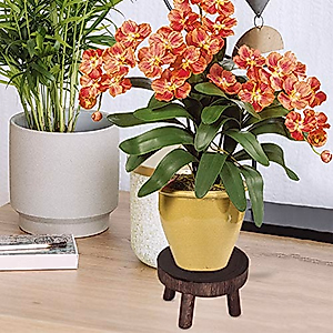 Mini Wooden Stool Display Stand Potted Plant Shelf Succulents Bonsai Rack, Wood Grain Flower Pot Holder Potted Rack Planter Supports Plant Holder Indoor Outdoor for Home, Garden, Patio Decor(Black S)