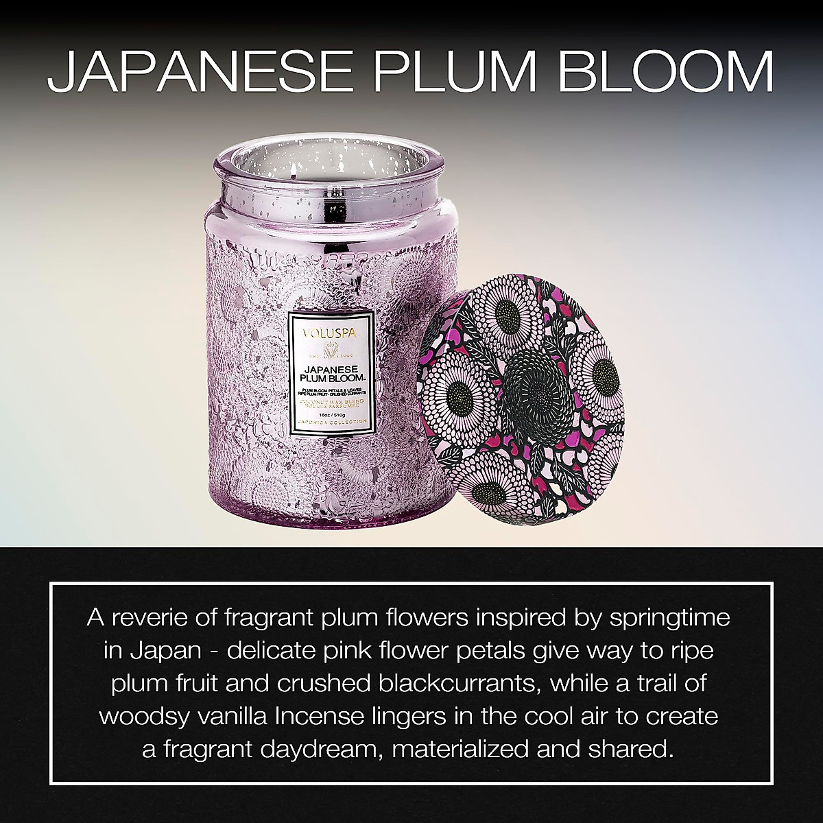 Voluspa Japanese Plum Bloom, Large Candle Jar, 18 oz, 100 Hour Burn Time, All Natural Wicks and Coconut Wax for Clean Burning, Vegan, Poured in the USA