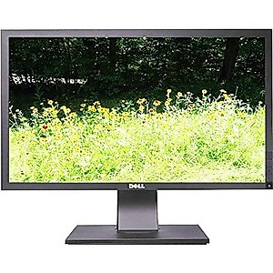 DELL P2411HB 24 DELL FLAT PANEL WIDESCREEN ALT F8NDP (Renewed)