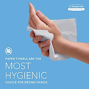 Sanitouch Hard Roll Paper Towel Dispenser (09991), Hands-Free Pull Dispensing, White