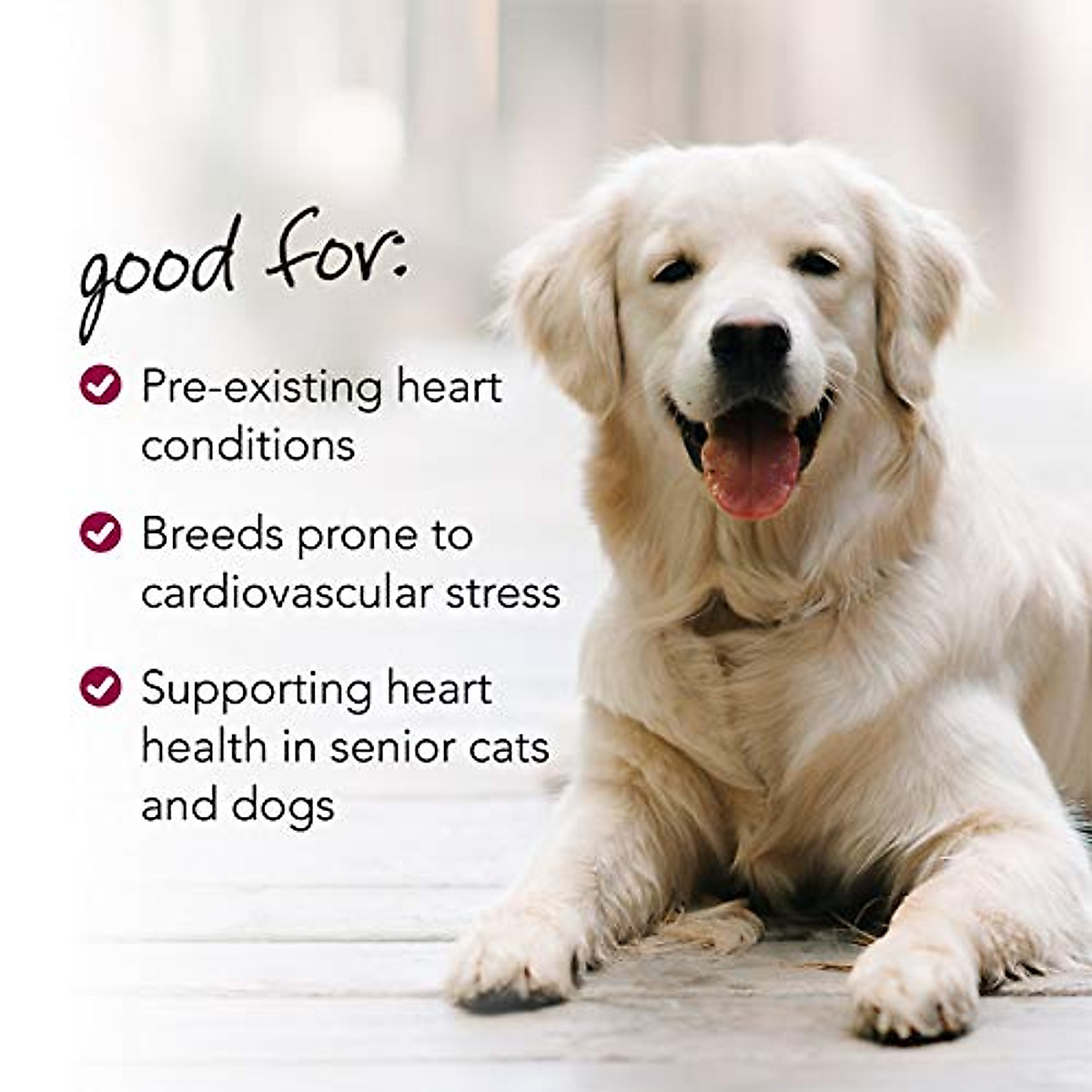 VETRISCIENCE - Cardio Strength, Cardiovascular and Circulatory Support Supplement for Dogs and Cats, 90 Capsules