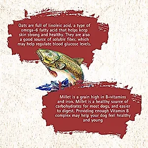 Inception® Dry Dog Food Fish Recipe – Complete and Balanced Dog Food – Meat First Legume Free Dry Dog Food – 27 lb. Bag