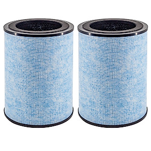 Asheviller AP300 Filter Replacement, Compatible with Instant® AP300 Air Purifier, H13 Grade True HEPA Filter and Activated Carbon Filter, Compare to F300 Filter,2 Pack