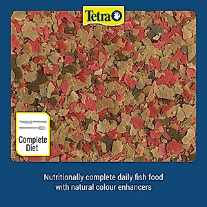 Tetra 77025 TetraFin Goldfish Flakes, 0.42 Ounce