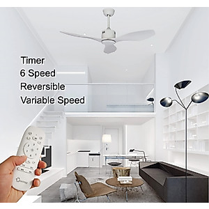 Goozegg Ceiling Fan No Light Remote Control Modern 3 Blades Reversible DC Motor, 48-inch, White