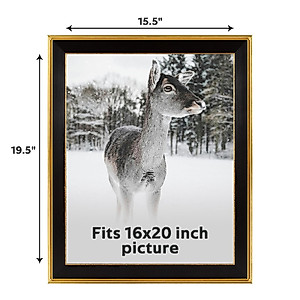 AUEAR,16x20 Picture Frame for 16x20 Photo Without Mat,Vintage Style,Wall Mounting (Black and Classic Gold)