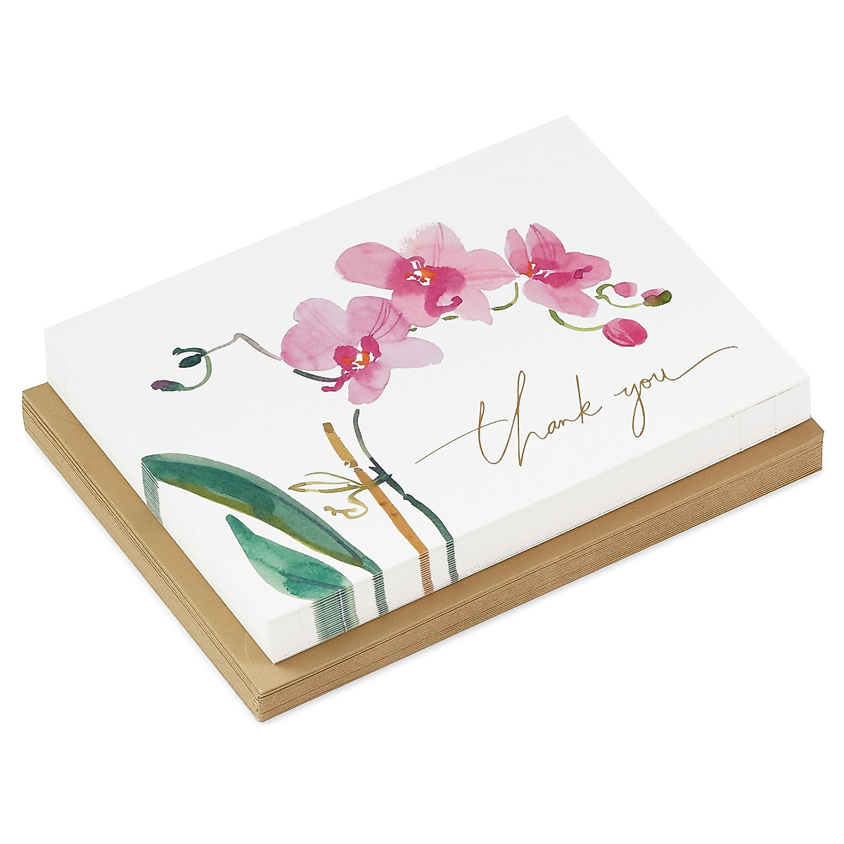 Hallmark Pink Orchid Thank You Notes (20 Blank Cards with Envelopes) for Bridal Shower, Baby Shower, Wedding, Birthday