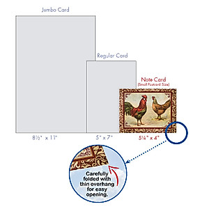 The Best Card Company - Boxed Set of 10 Bird Thank You Notecards with Envelopes 4 x 5.12 inch, Feathered Animal Gratitude - Card-A-Doodle-Do M2351TYG