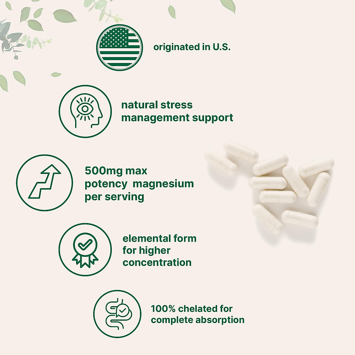 Micro Ingredients Magnesium Glycinate 500mg Per Serving, 240 Capsules | Potent Elemental Form, 100% Chelated, High Absorption | Healthy Muscle, Bones, & Mood Support Supplement | Non-GMO